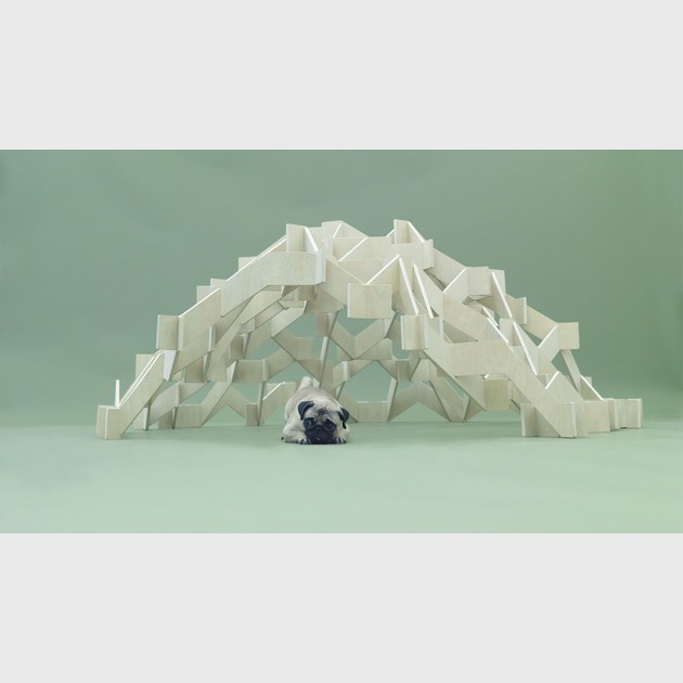 Japan House apresenta a mostra "Architecture for Dogs: Arquitetura para ...