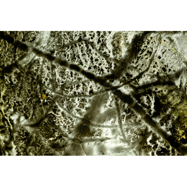 Galeria Andreus revela novos talentos - Site RG – Moda, Estilo, Festa ...